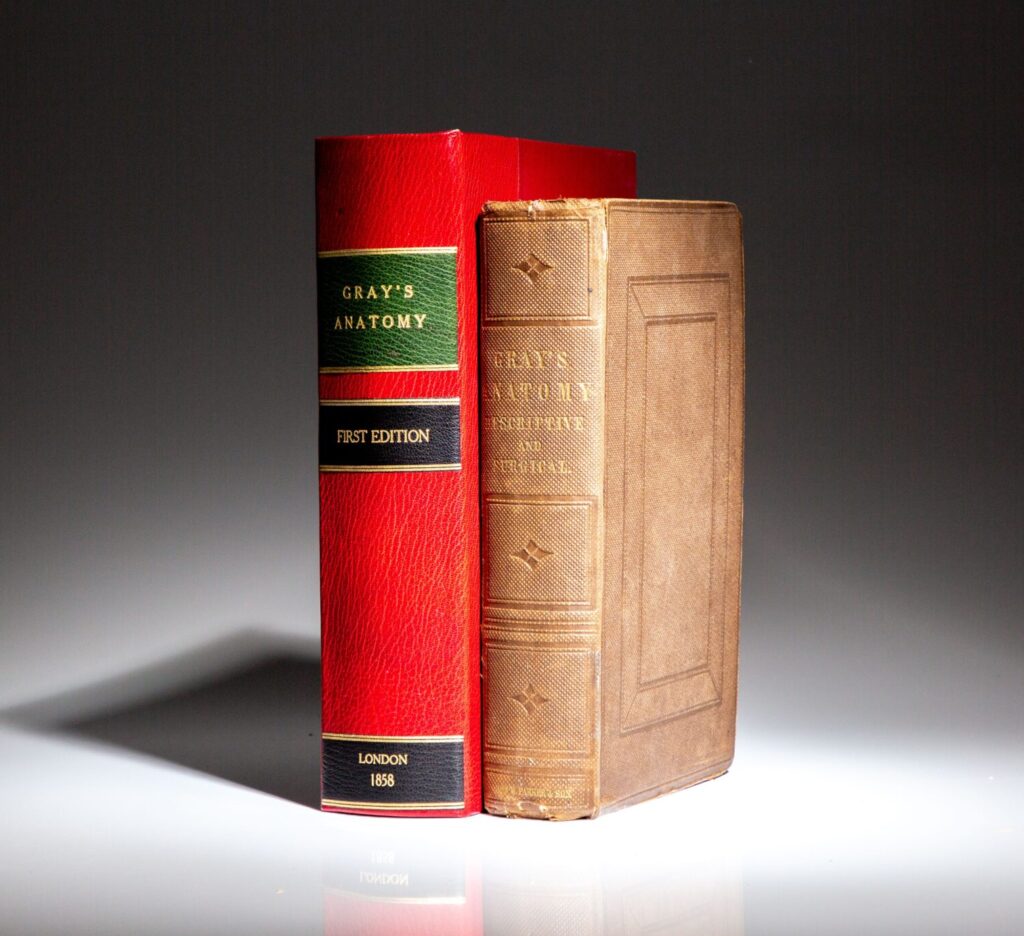 Anatomy Descriptive and Surgical - The First Edition Rare Books