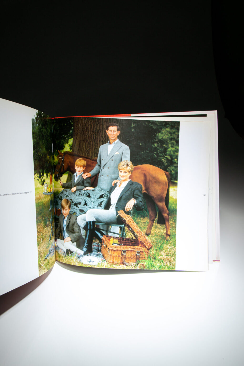 Photographs by Snowdon - The First Edition Rare Books