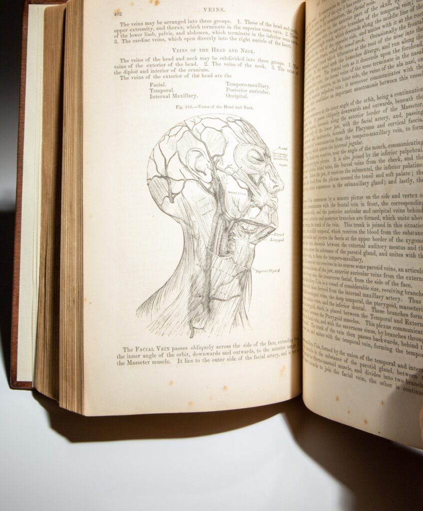 Anatomy, Descriptive and Surgical - The First Edition Rare Books