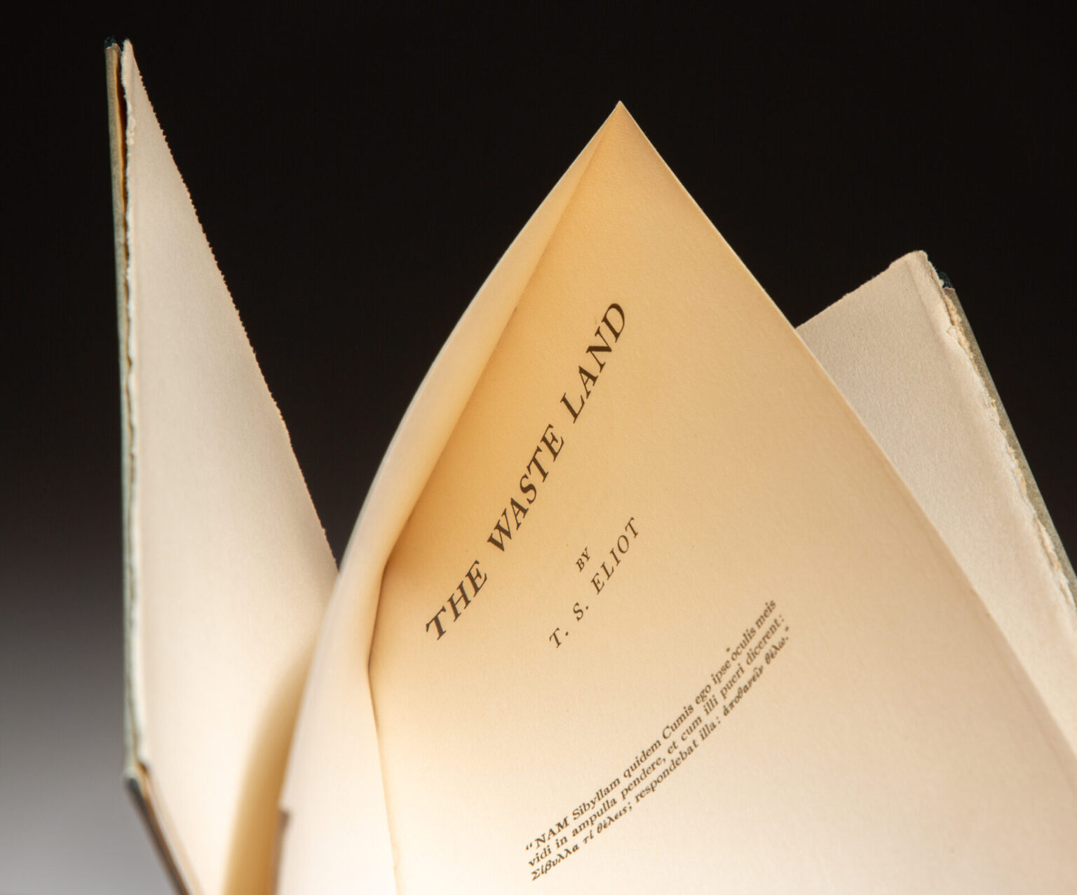 The Waste Land - The First Edition Rare Books