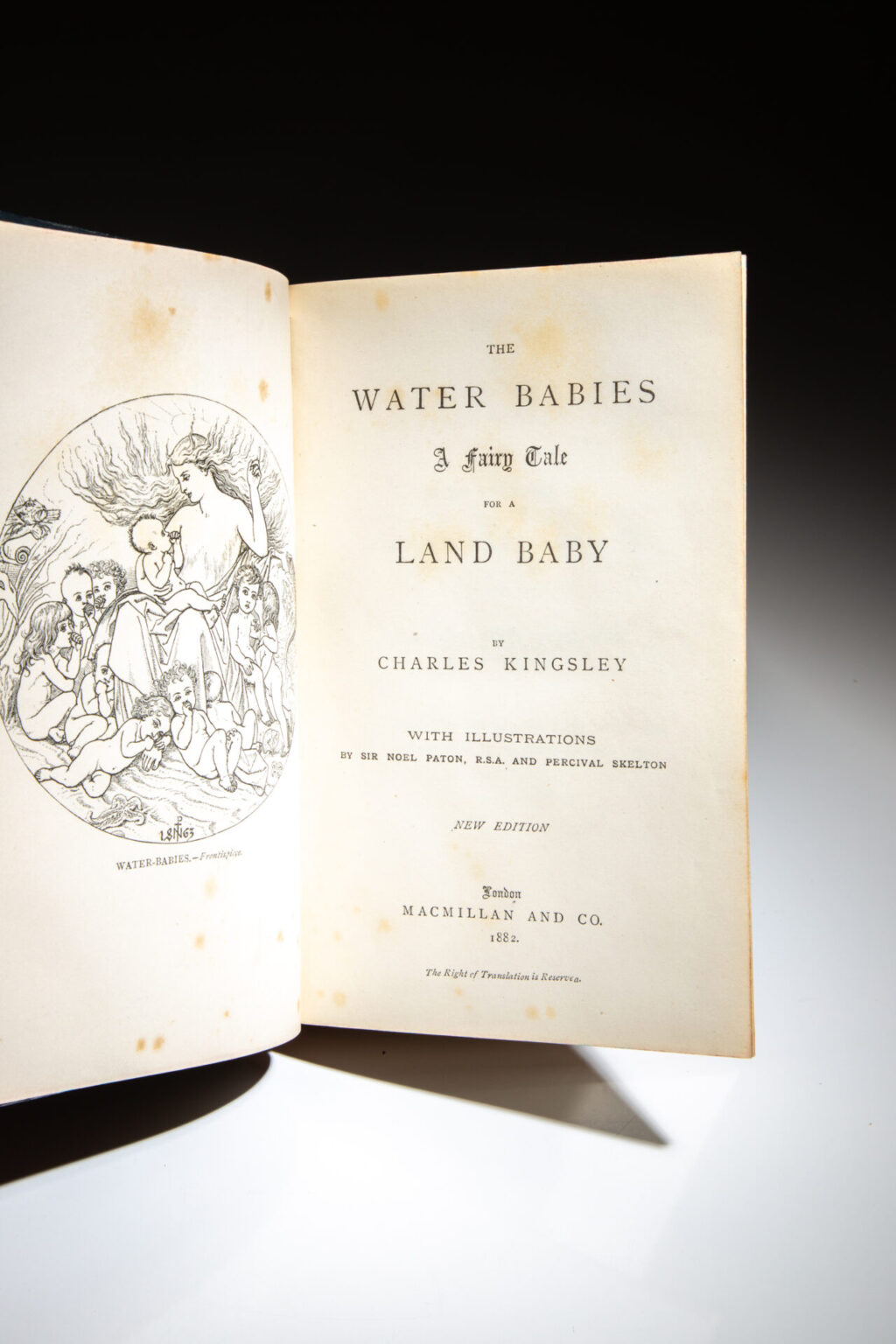 The Water Babies - The First Edition Rare Books